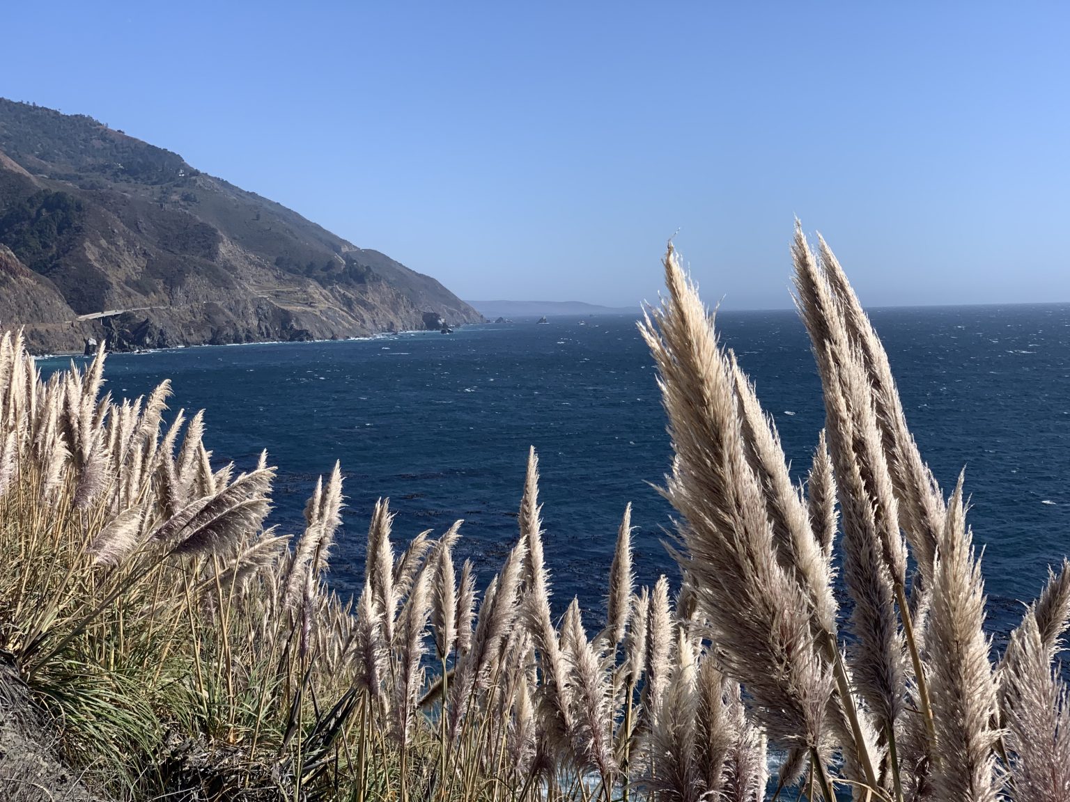 Travel Guide for a One Week California Road Trip