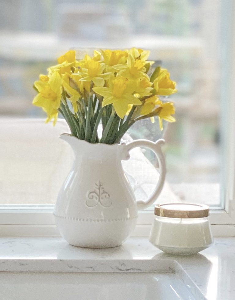 The First Day of Spring and Pancakes with Pasha