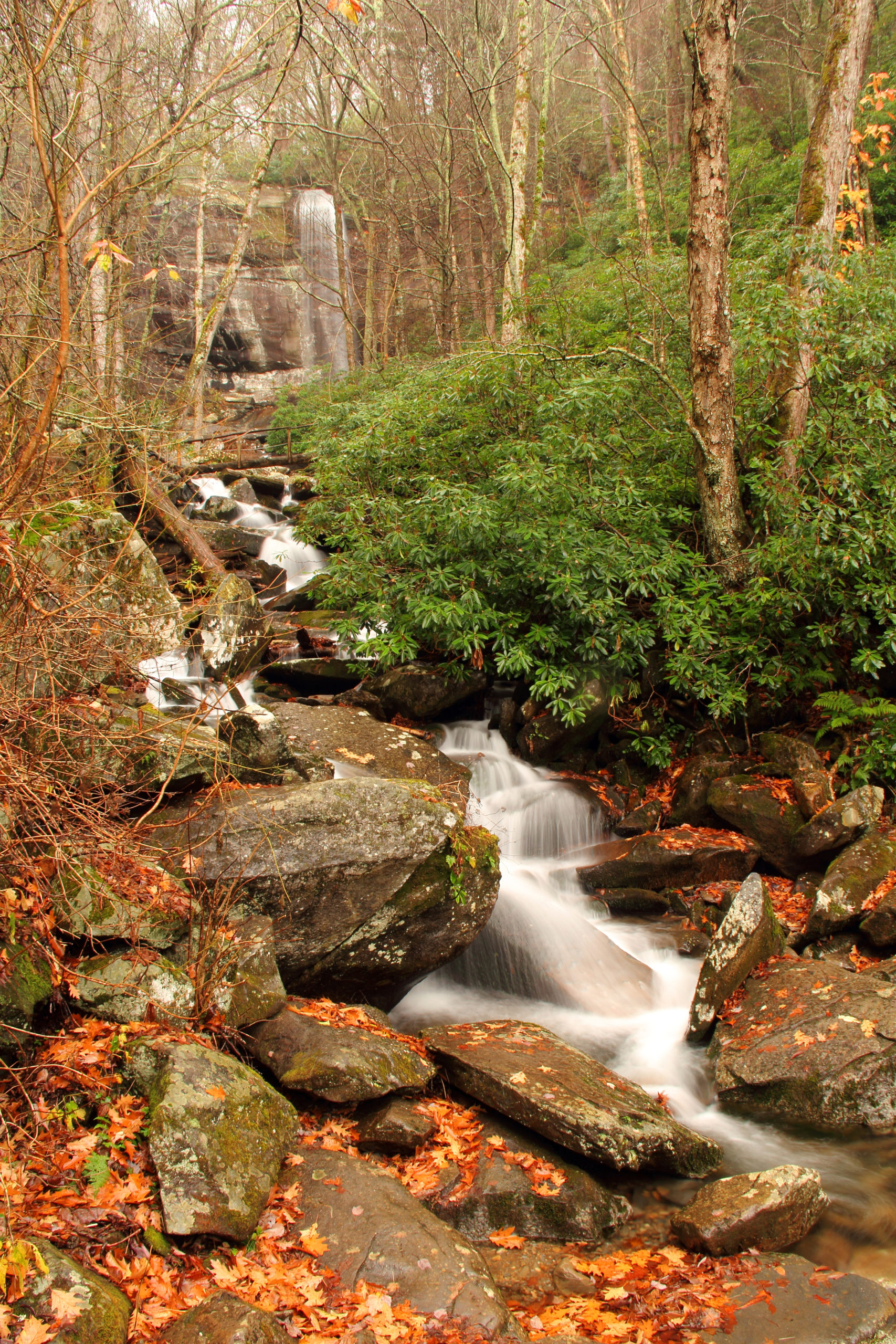 A Great Smoky Mountain National Park Leaf Peeping Trip