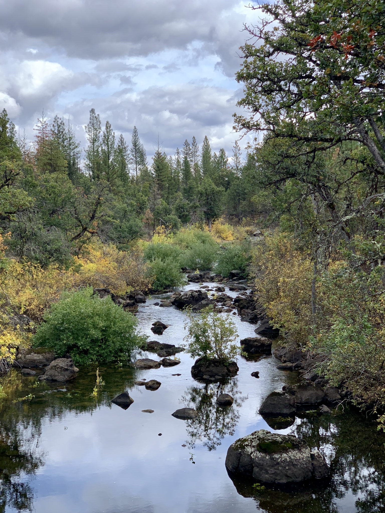 Travel Guide for a One Week California Road Trip