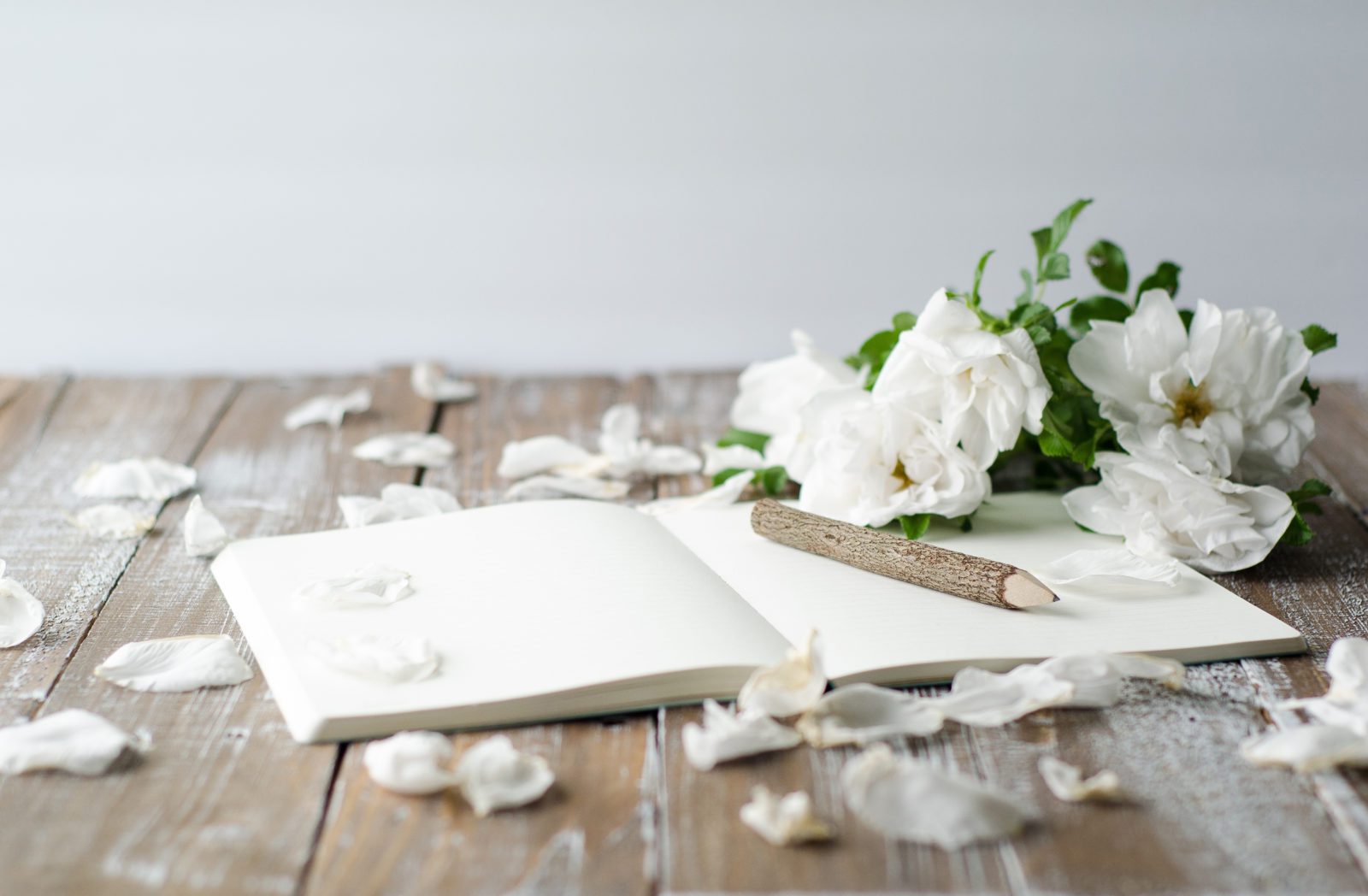 Simple Planning Tips For Everything You Need to Plan - Pasha is Home