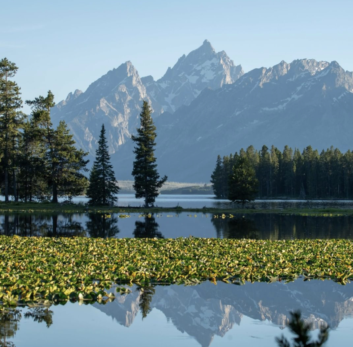 What You Need to Know to Visit Grand Teton National Park