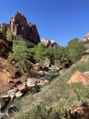 How to Spend Two Days in Zion National Park - Pasha is Home