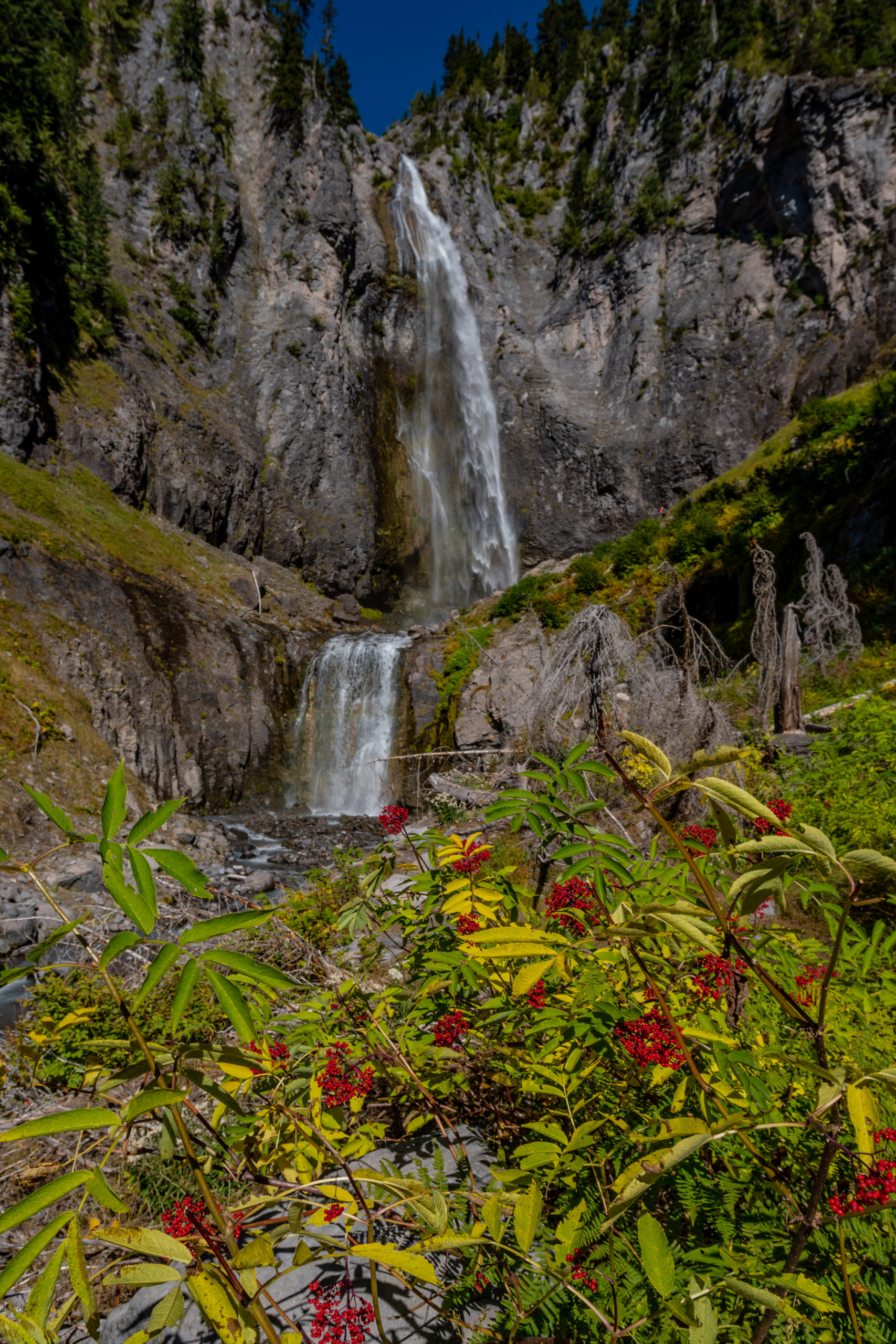 How to Spend Two Fall Days in Mount Rainier National Park