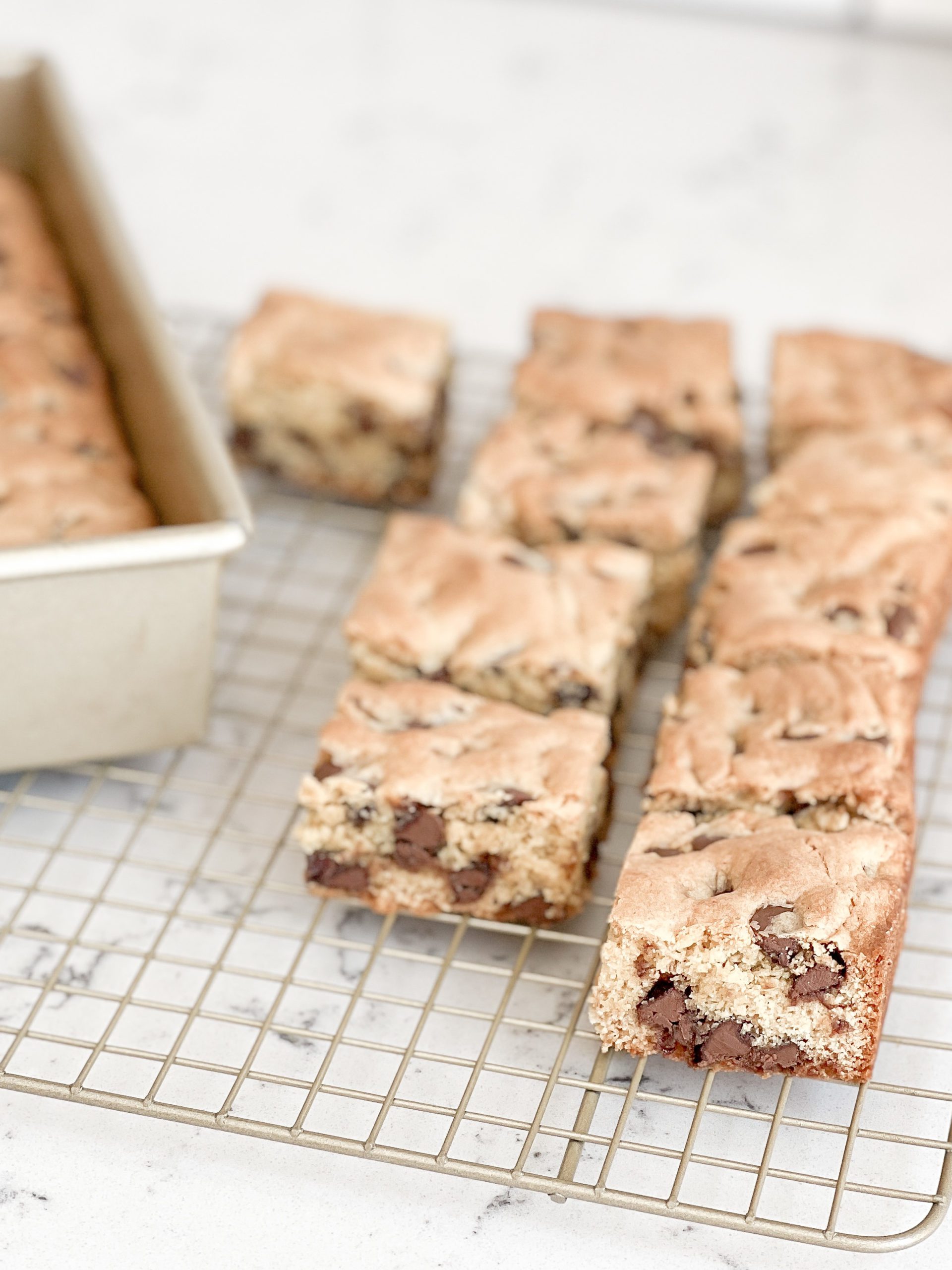 A Super Easy Chocolate Chip Dessert Recipe - Pasha is Home