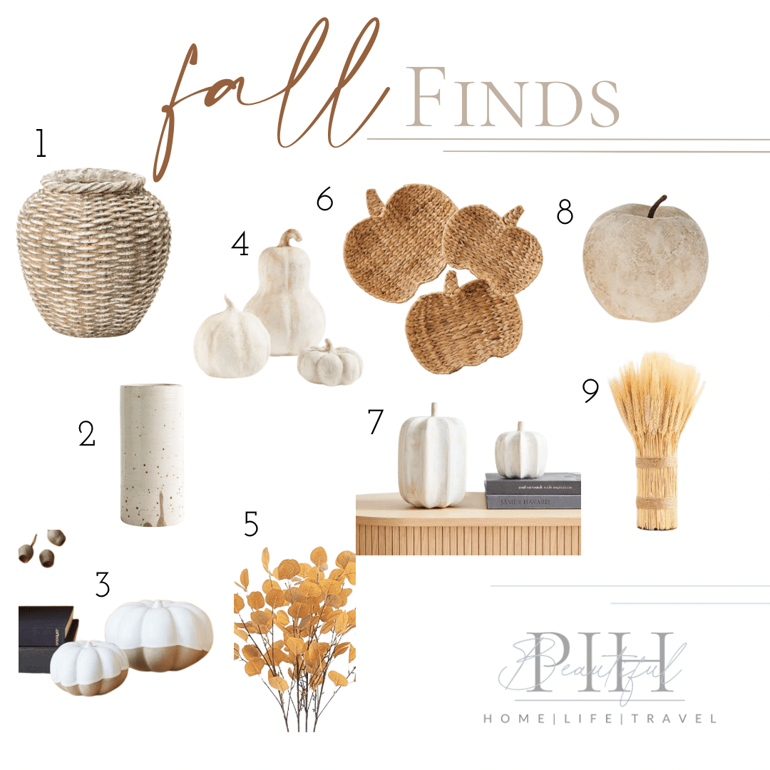 Welcome Home Saturday Fall 2022 Edition - Pasha is Home