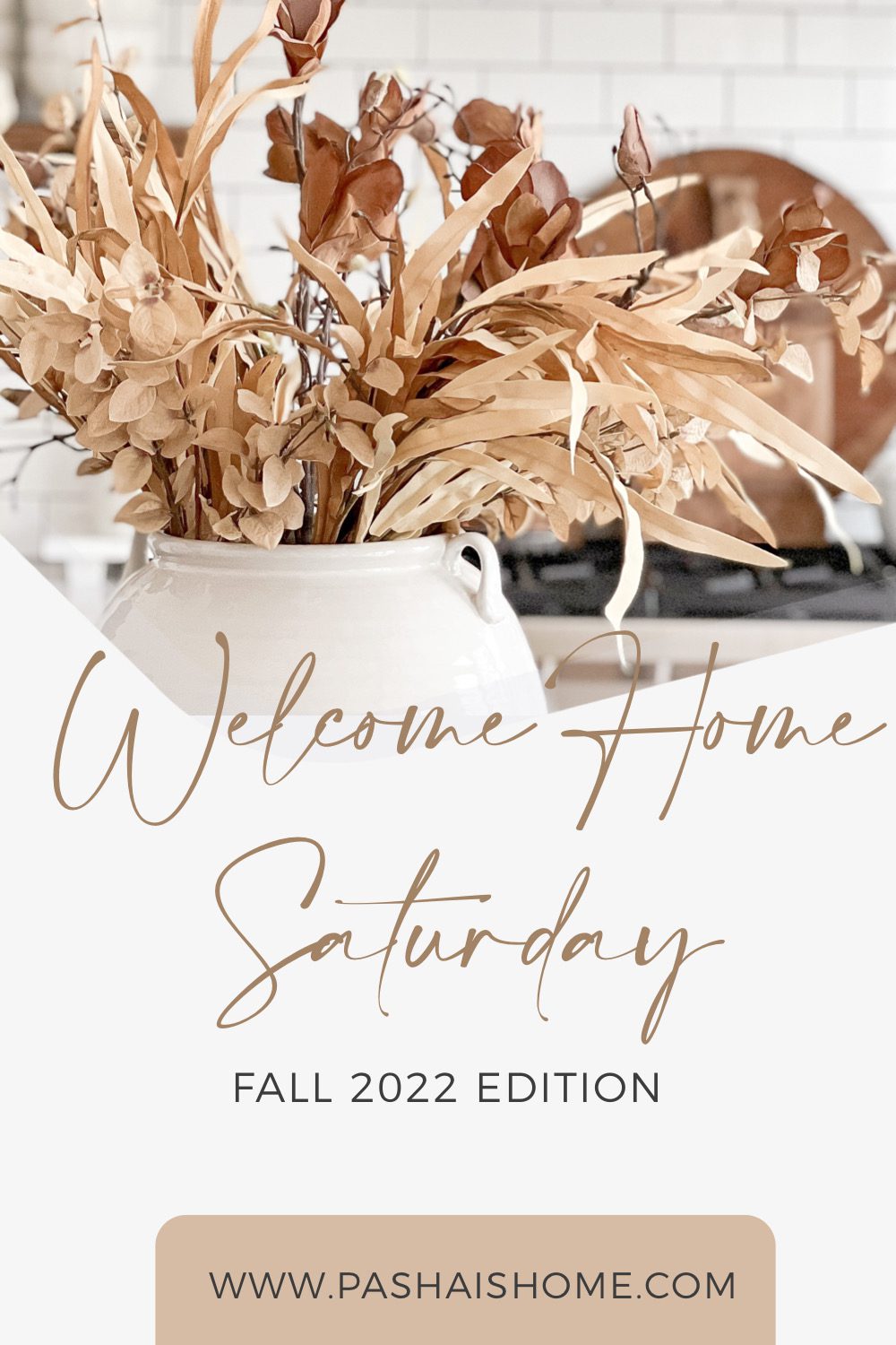 Welcome Home Saturday Fall 2022 Edition - Pasha is Home