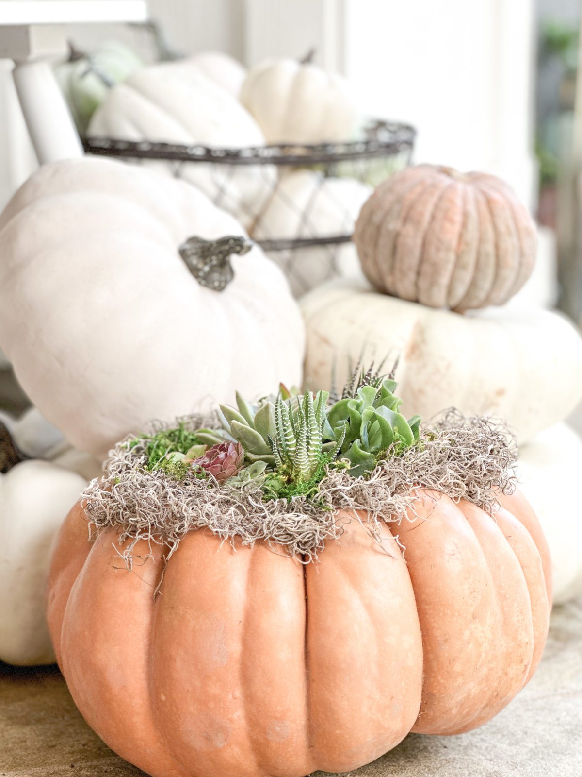 Three Effortless Ways to Use Fall Flowers in Your Home