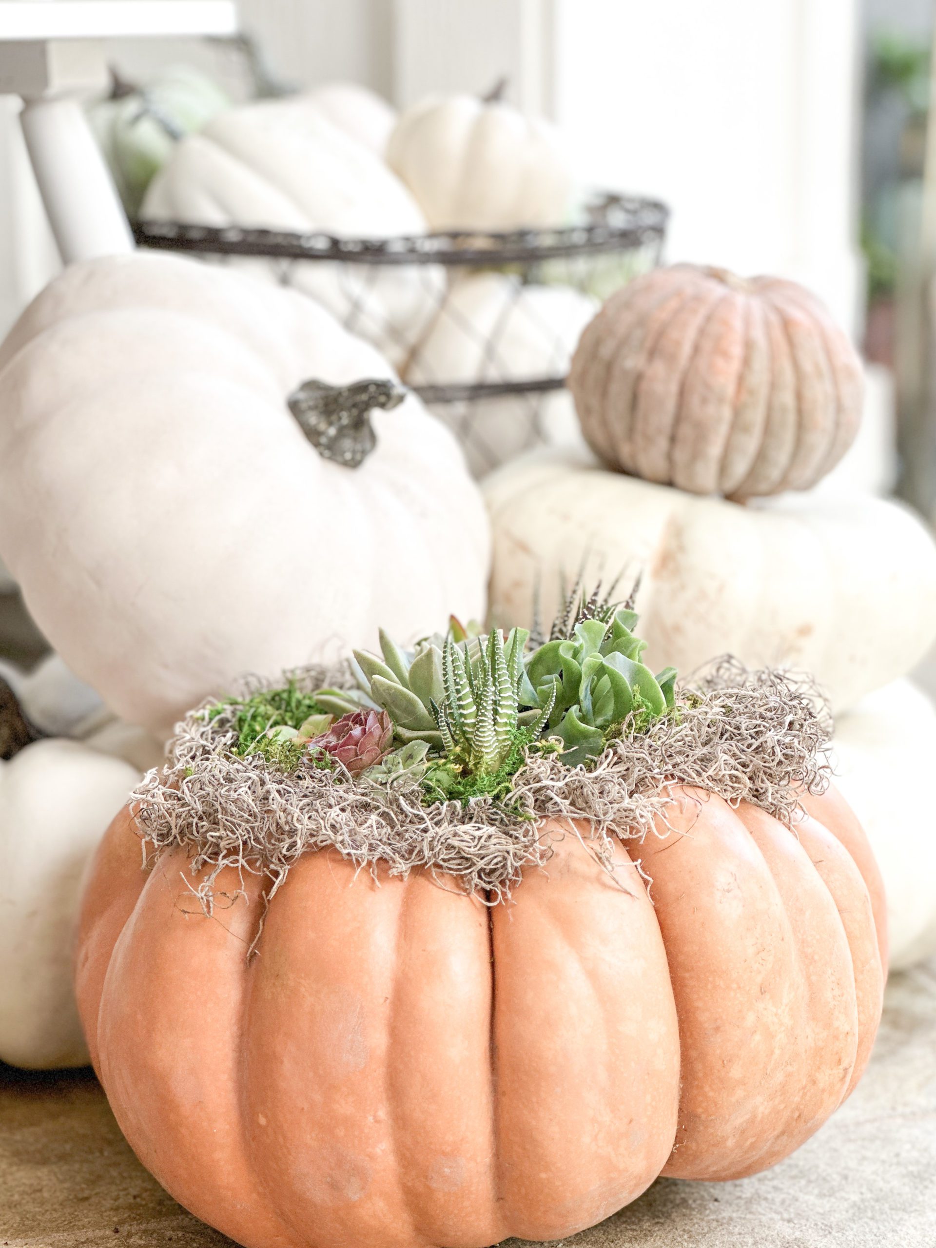 Three Effortless Ways to Use Fall Flowers in Your Home