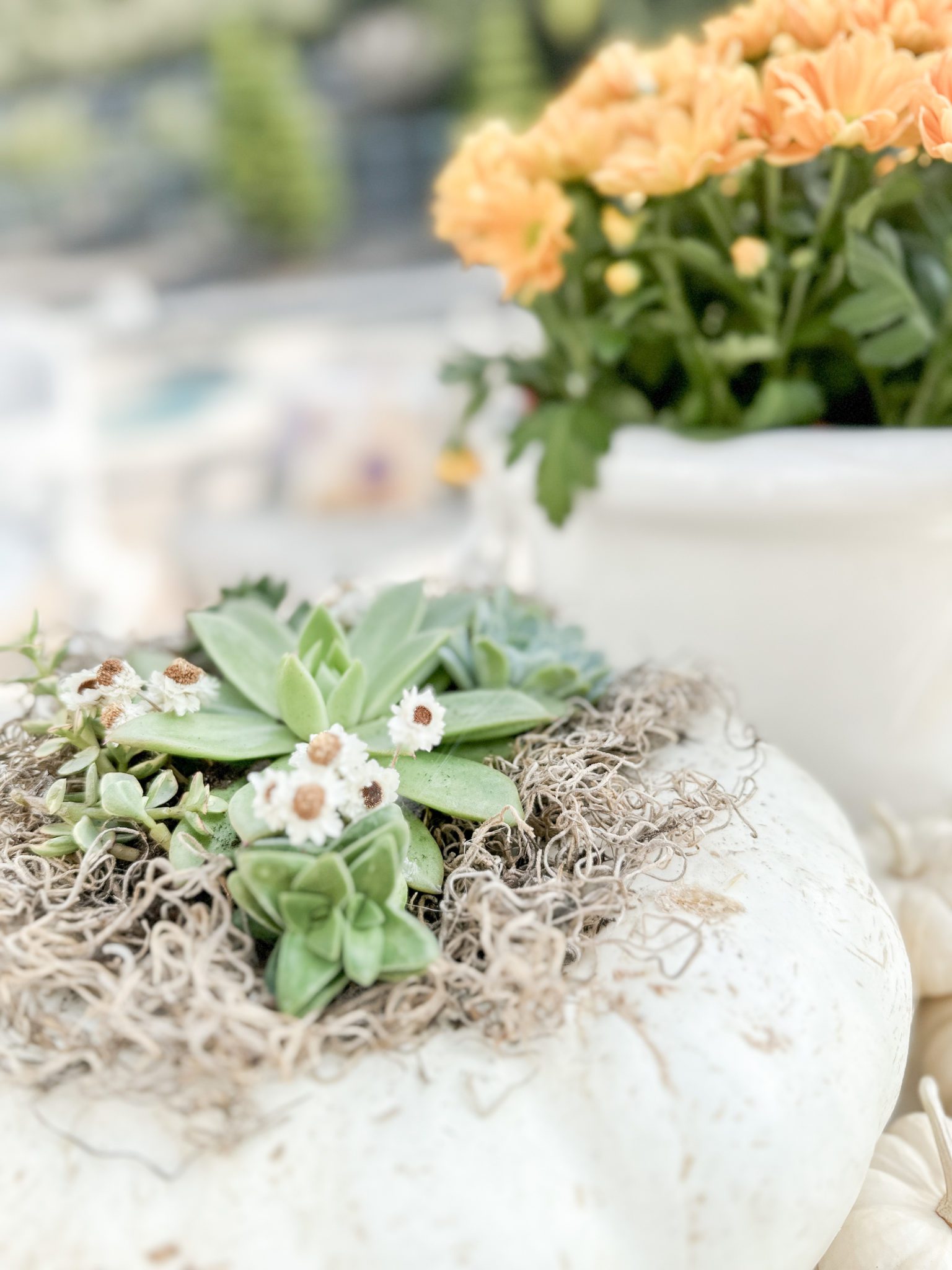 Three Effortless Ways to Use Fall Flowers in Your Home