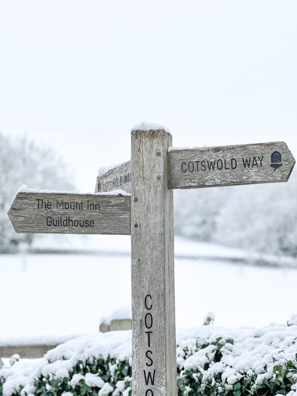 A Complete Travel Guide to the Cotswolds Without a Car