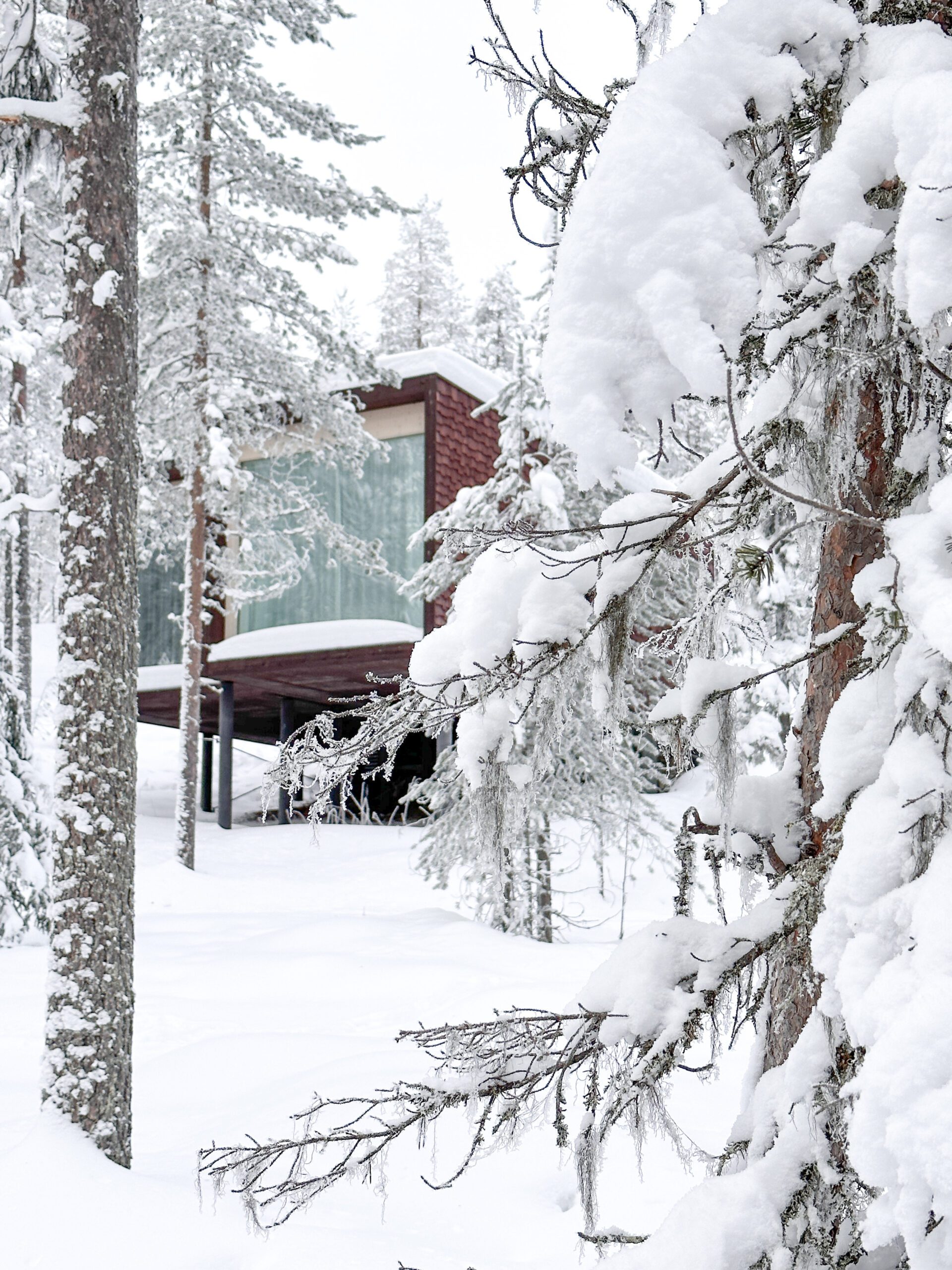How to Spend 3 Winter Days in Rovaniemi Finland