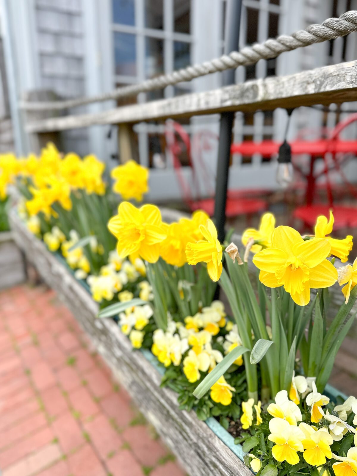 The Ultimate Three Days in Nantucket - Pasha is Home