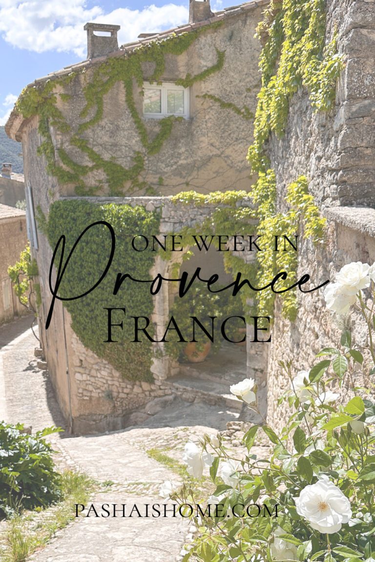 One Week in Provence France Without a Car - Pasha is Home