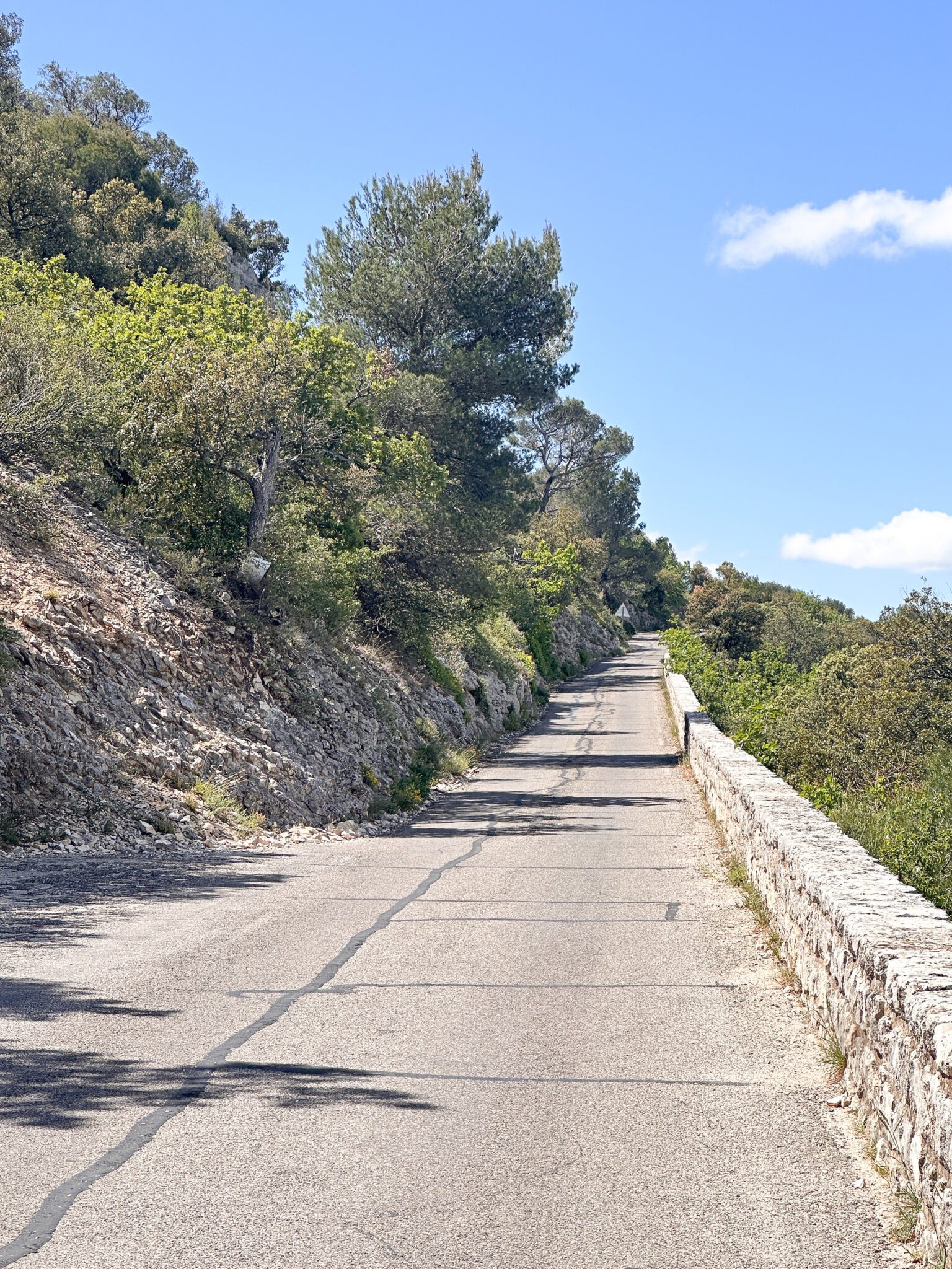 One Week in Provence France Without a Car - Pasha is Home