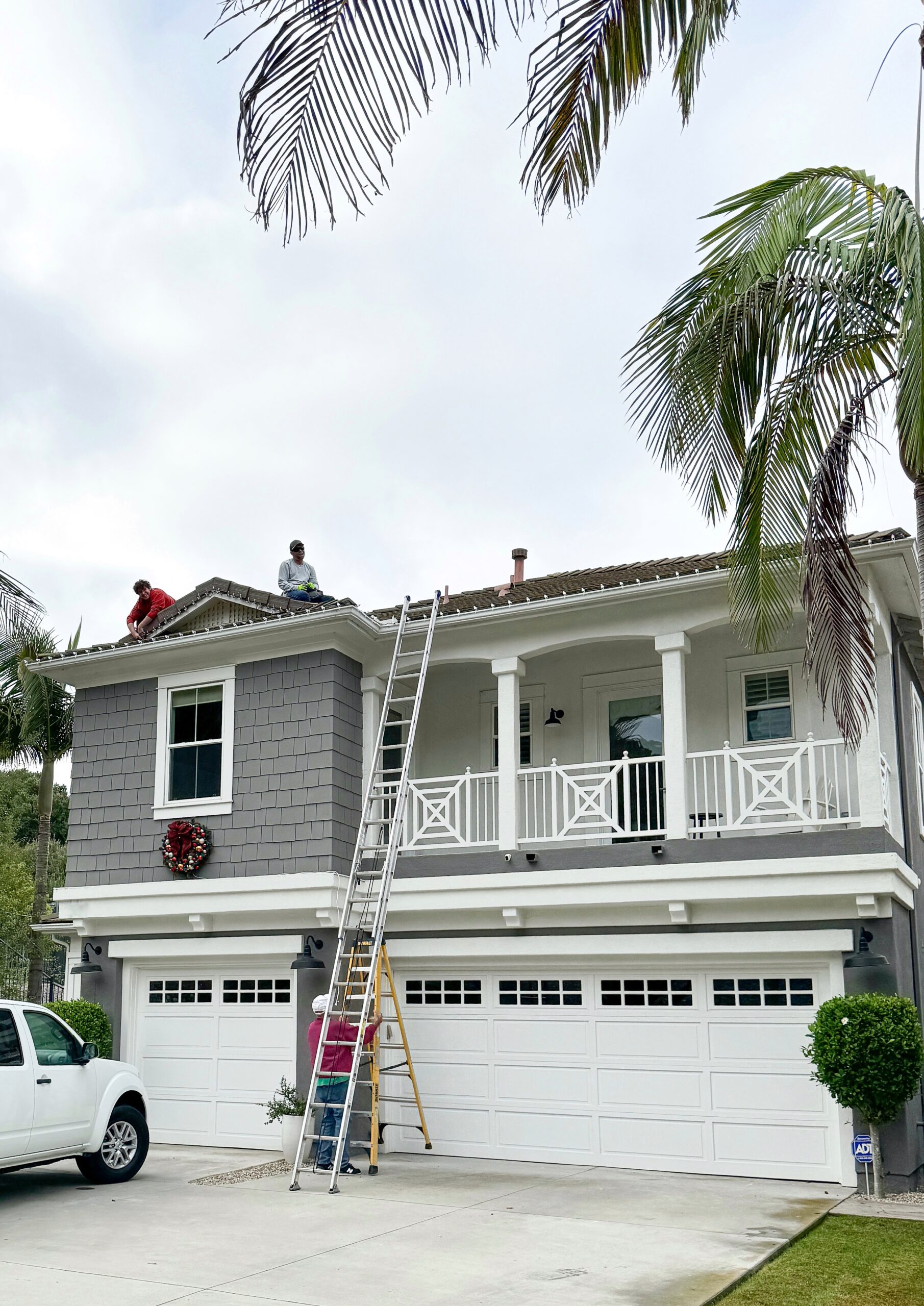 Happy Halloween and Pancakes with Pasha - Pasha is Home