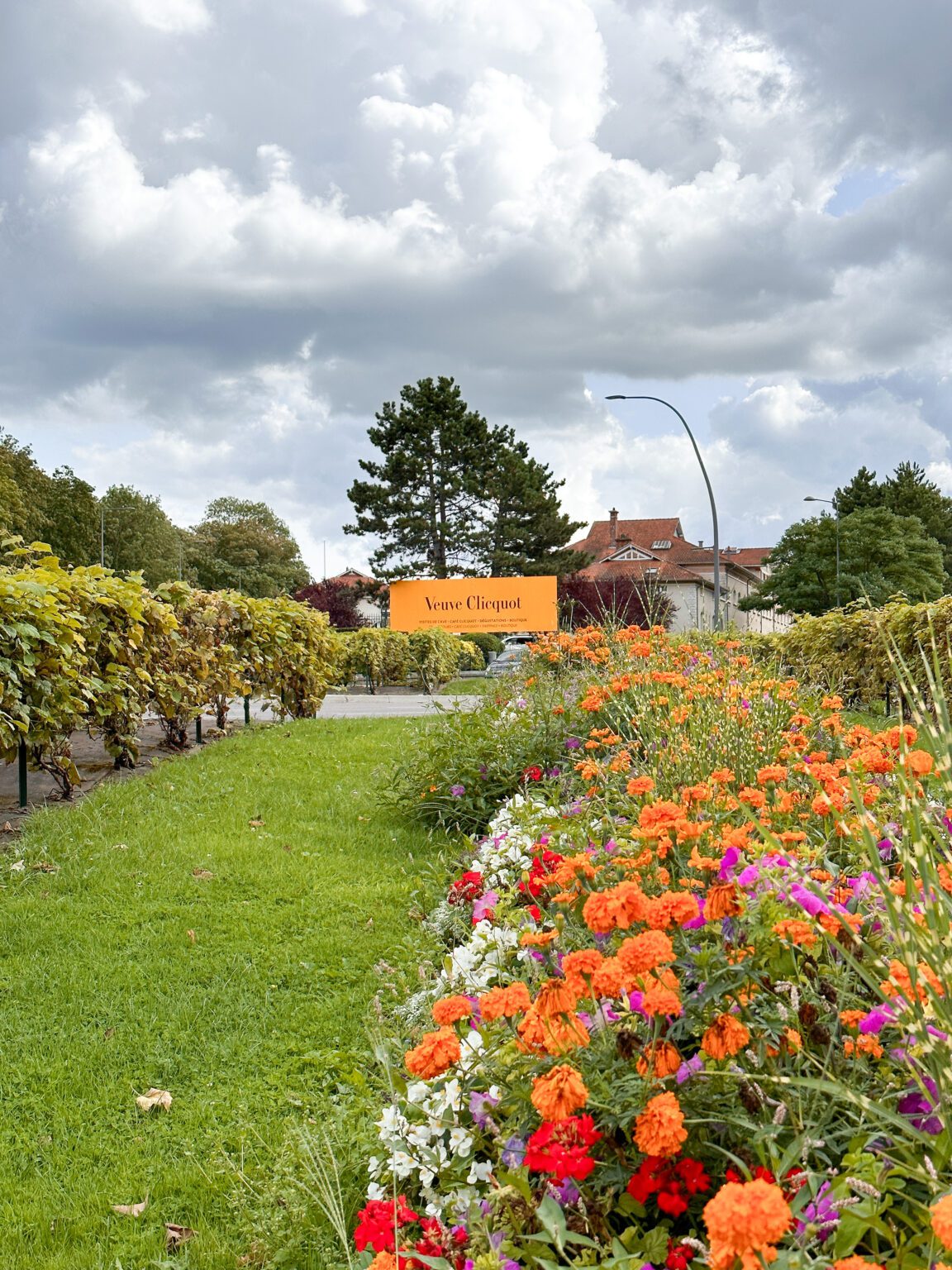 How to Visit the Veuve Clicquot Champagne House - Pasha is Home