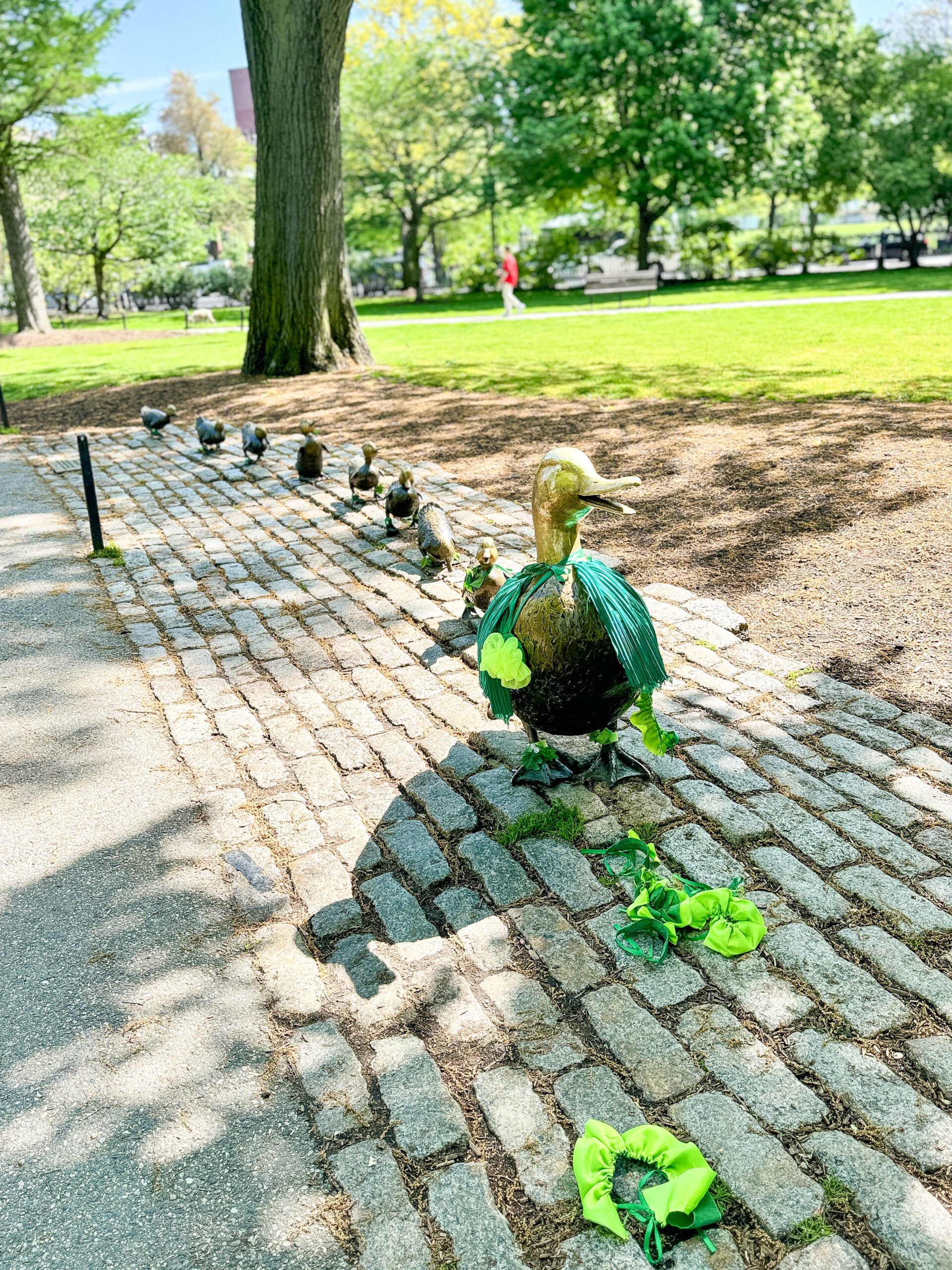 The Best Boston Massachusetts Travel Guide - Pasha is Home