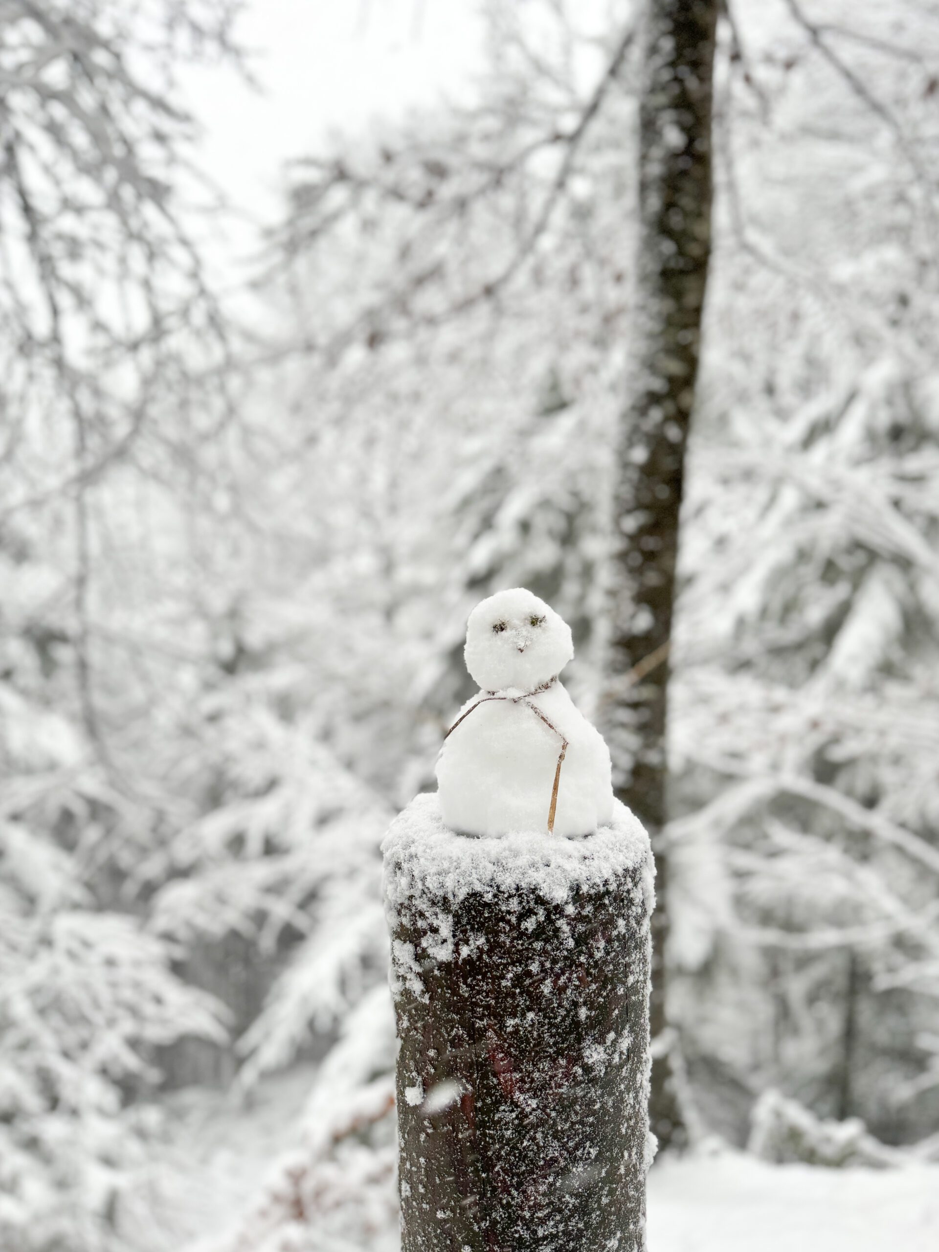 A Winter Day Trip to Neuschwanstein Castle and Füssen