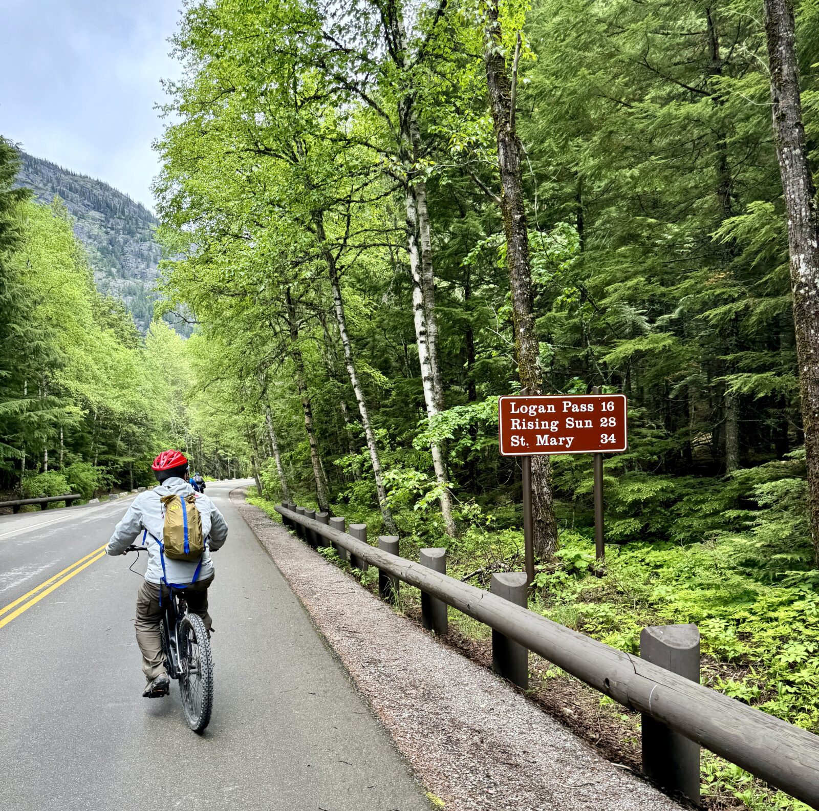 Best Things to See and Do in Glacier National Park - Pasha is Home