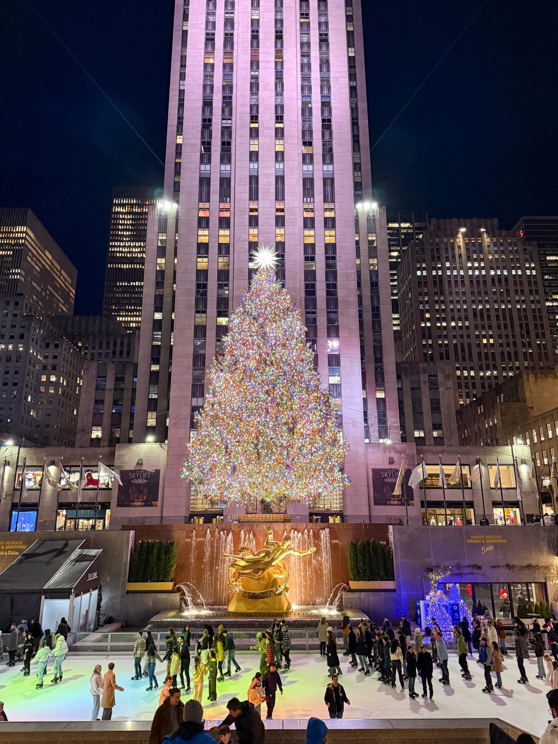 What to Do in New York City at Christmas Time - Pasha is Home