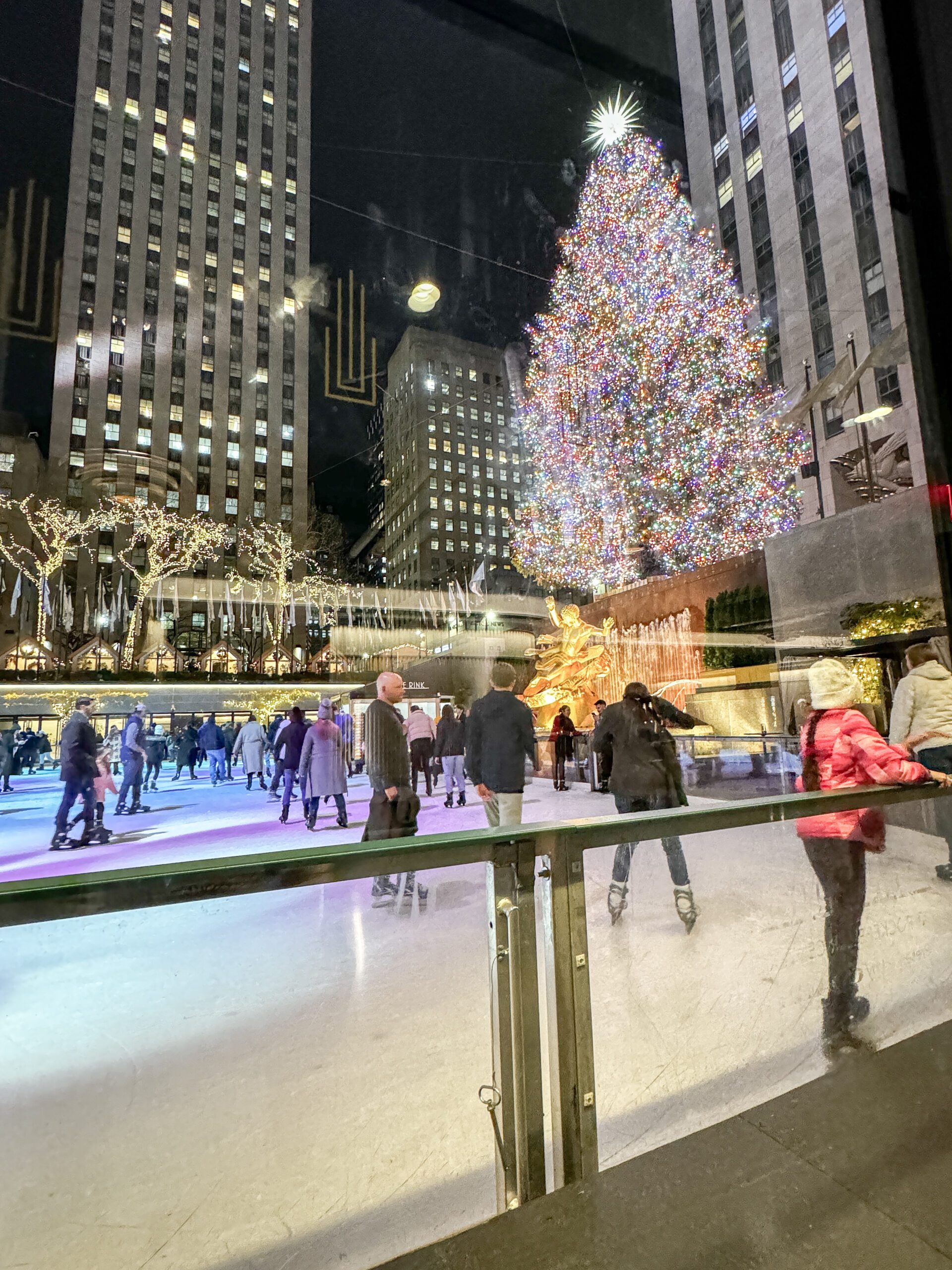 What to Do in New York City at Christmas Time - Pasha is Home